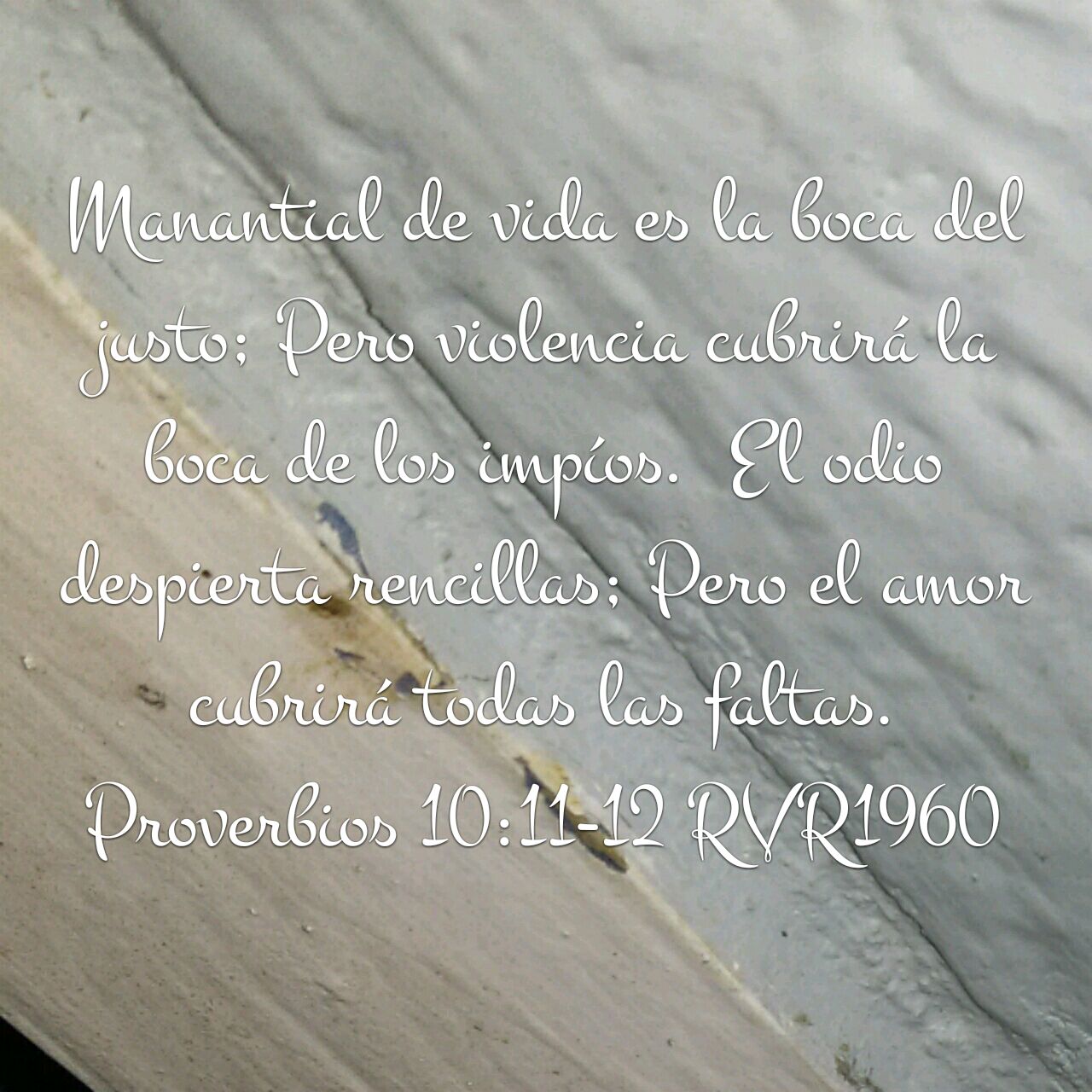Proverbios 10:11-12