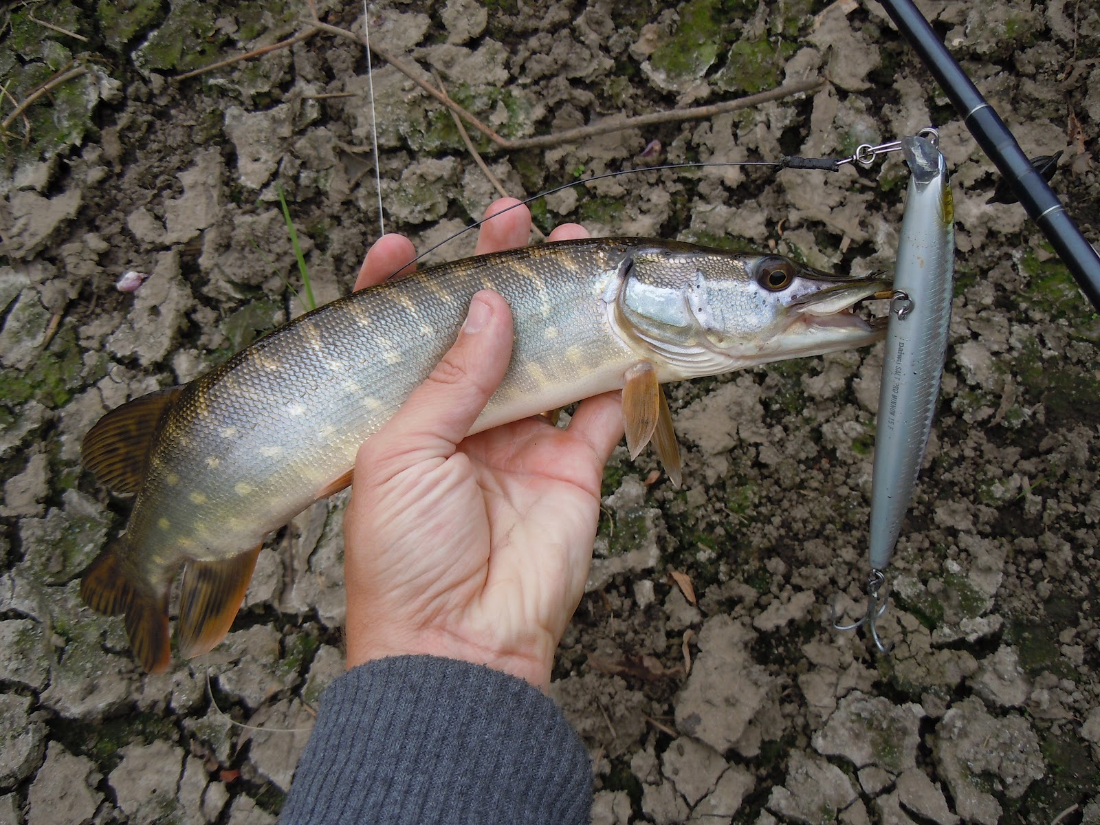 River Piker: Piking round up