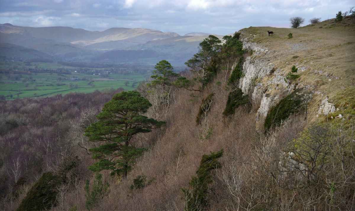 Wildeep's Illuminations: Views From Scout Scar