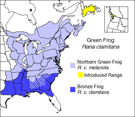 Earth and Space News: North American Green Frog Habitats Are Fresh ...