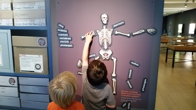 Learning about Skeletons | Multicultural Motherhood