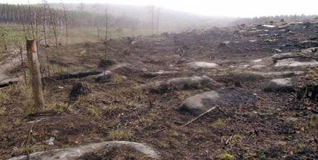 Misteri Kuburan Setan (Devil’s Cemetery) di Rusia | KASKUS