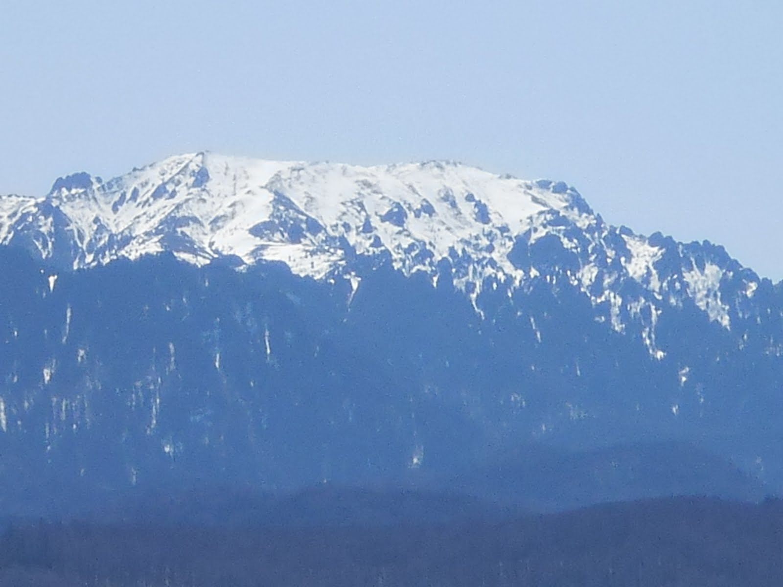 Intorsura Buzaului, Izvorul Buzaielor.: Masivul Ciucas