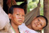 The Nukak Tribe: The Nukak Maku Tribe