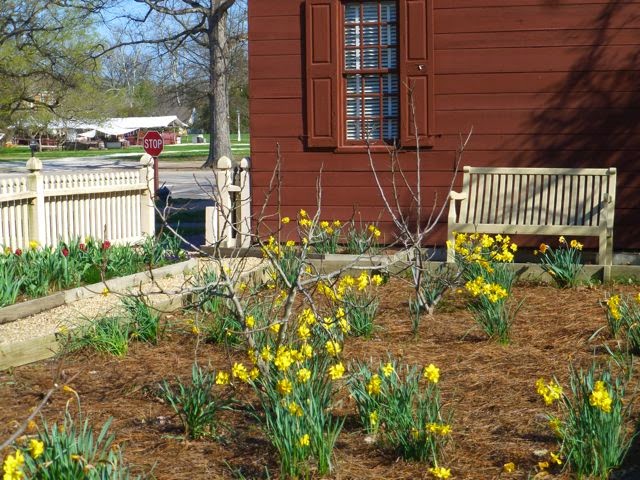 Window On Williamsburg: Common Views In An Uncommon Town