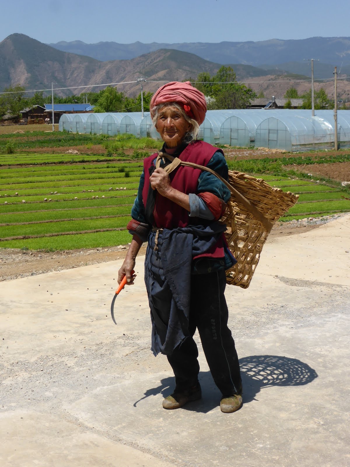 Cath à HK: Hot Spring - Yongning - Zhamei Temple - Day 2 - Rando de ...