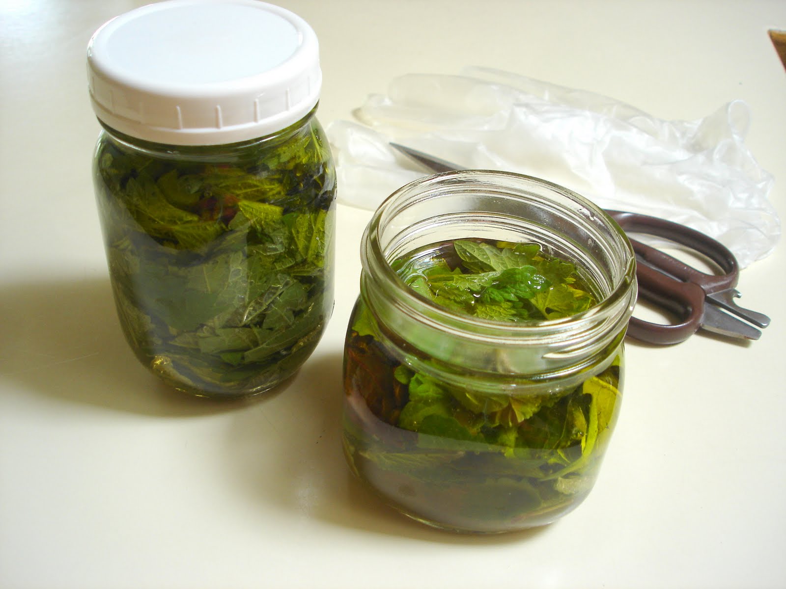 woman with wings: marinated nettles