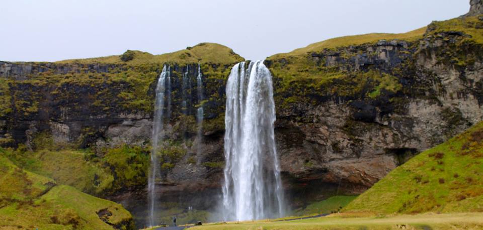 The Official Blog of Sarah R. Lotfi