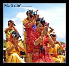 TANA TORAJA: TARIAN PA'GELLU SENI TANA TORAJA