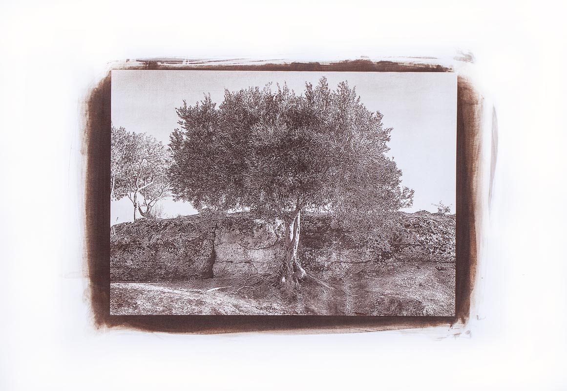 Alessandro Crapanzano : Akragas: le Calotipie