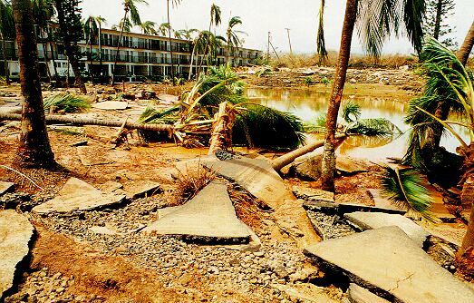 All Hawaii News: May 2016