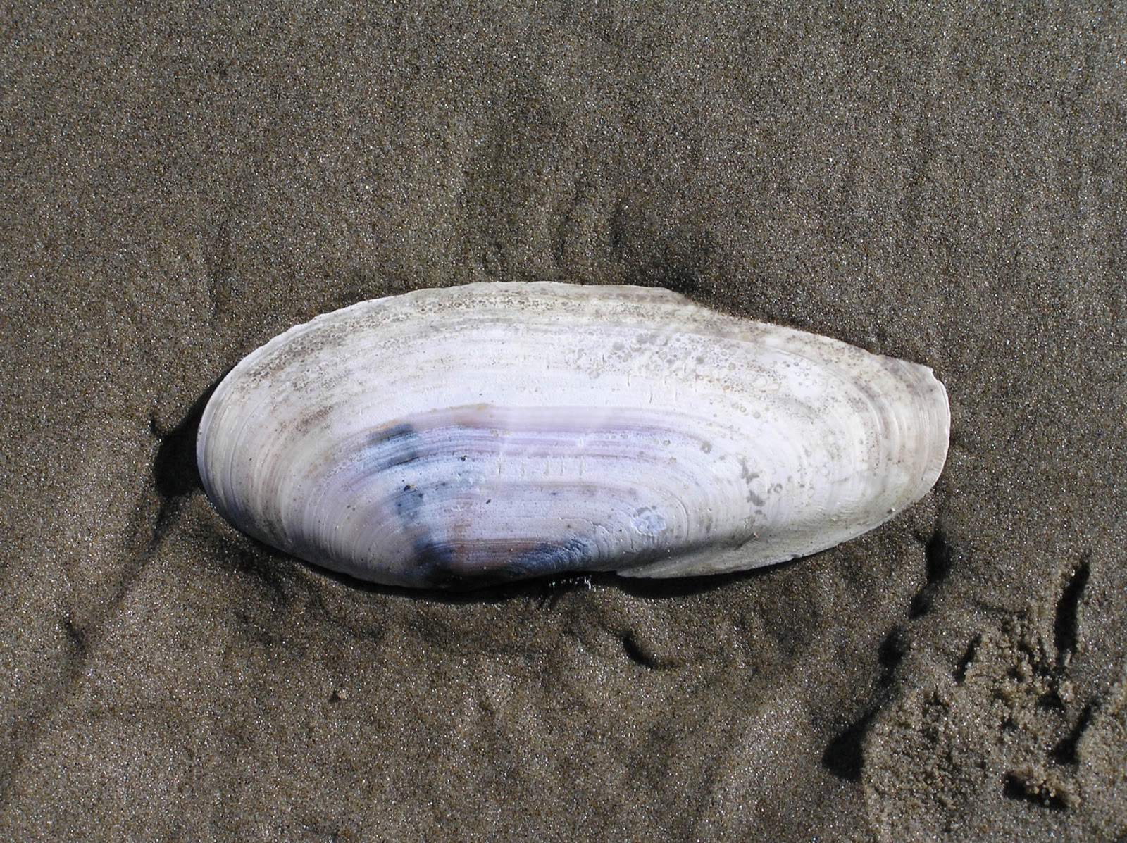 GLOBETROTTING GRANDPARENTS: The Oregon Coast