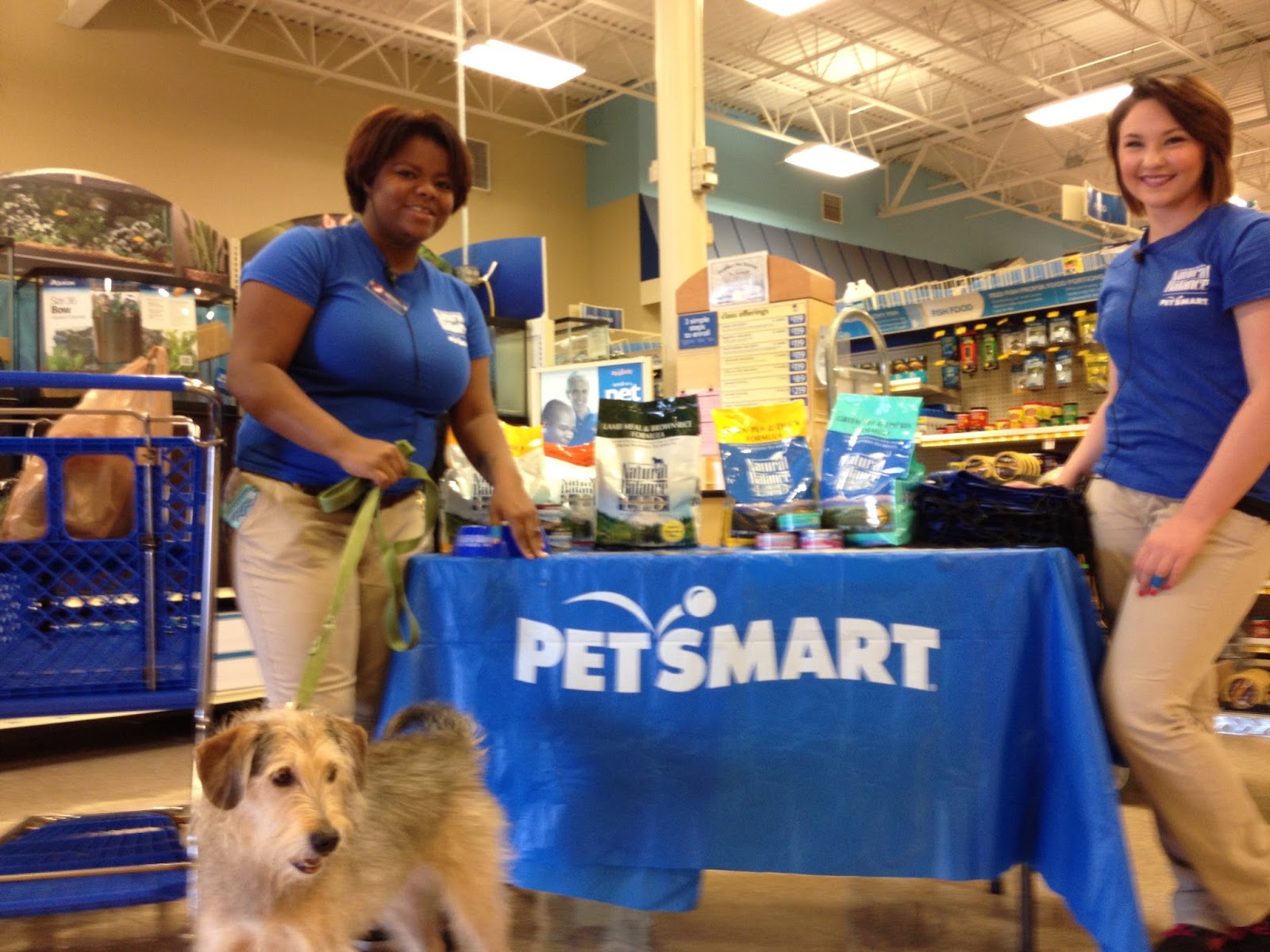 Pet Blog By Bocci @ Bocci's Beefs: PetSmart + Natural Balance = A Great ...