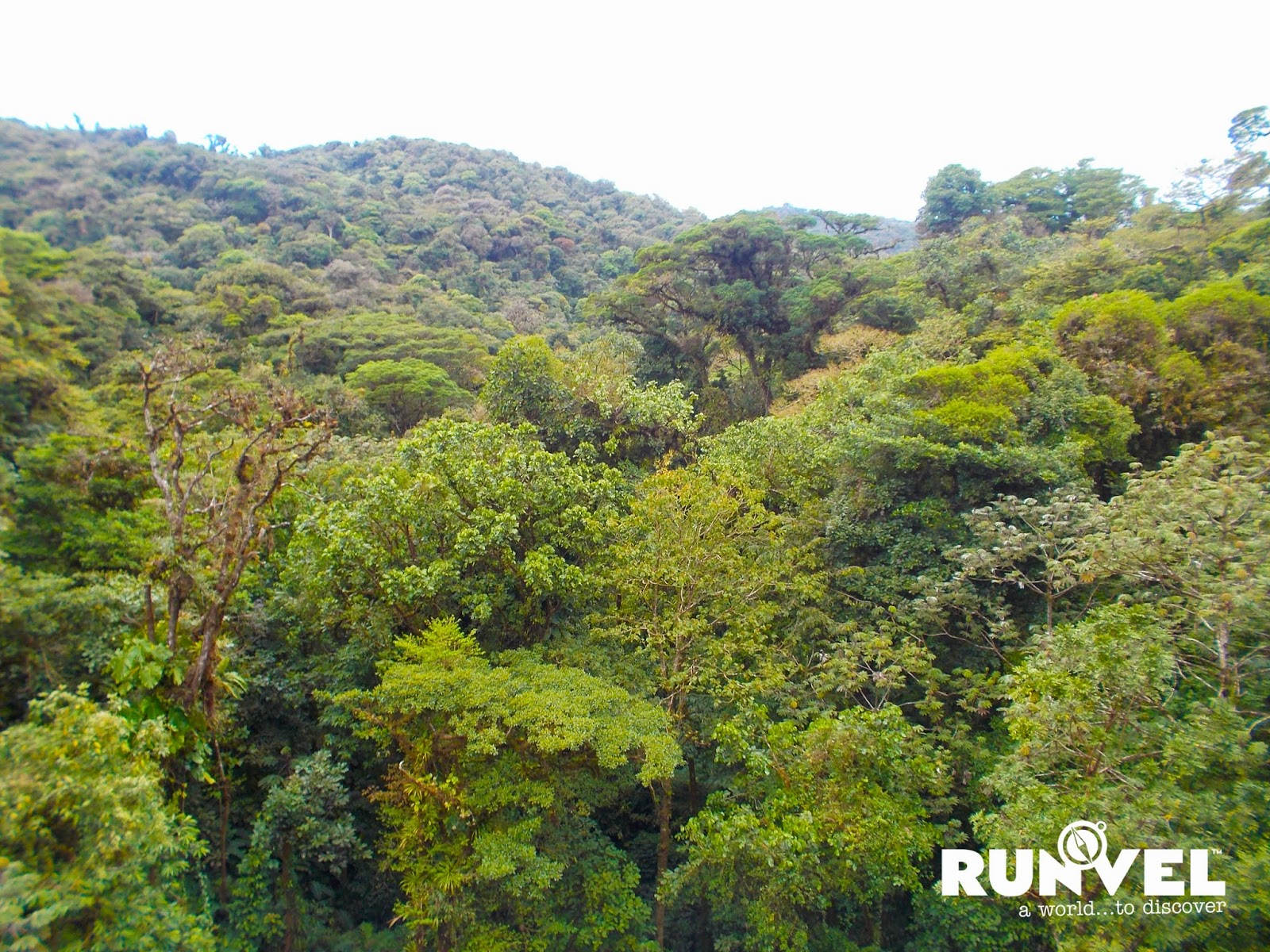RUNVEL: ΣΤΟ CLOUD FOREST ΤΟΥ MONTEVERDE, ΚΟΣΤΑ ΡΙΚΑ.
