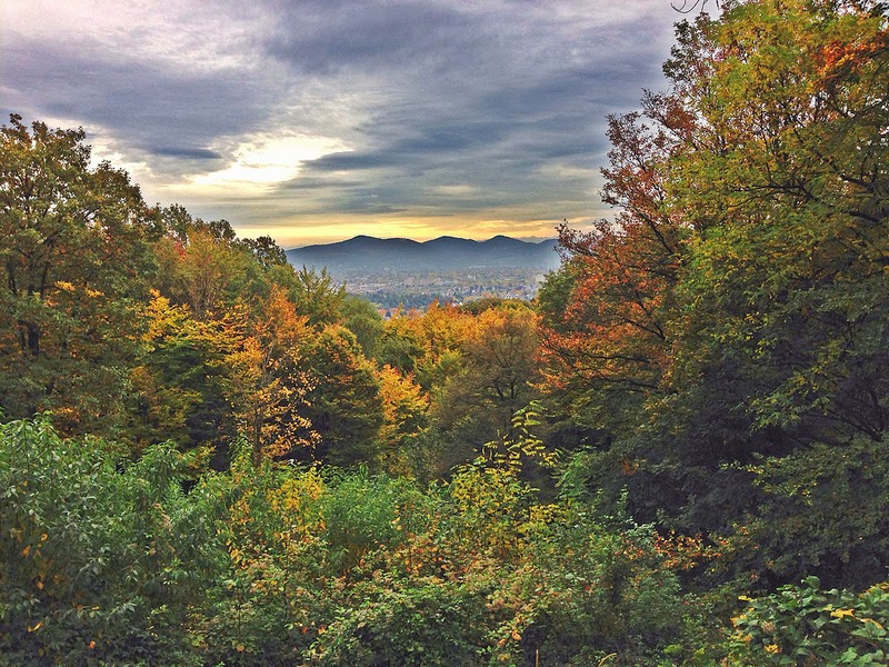 the hollywood north report