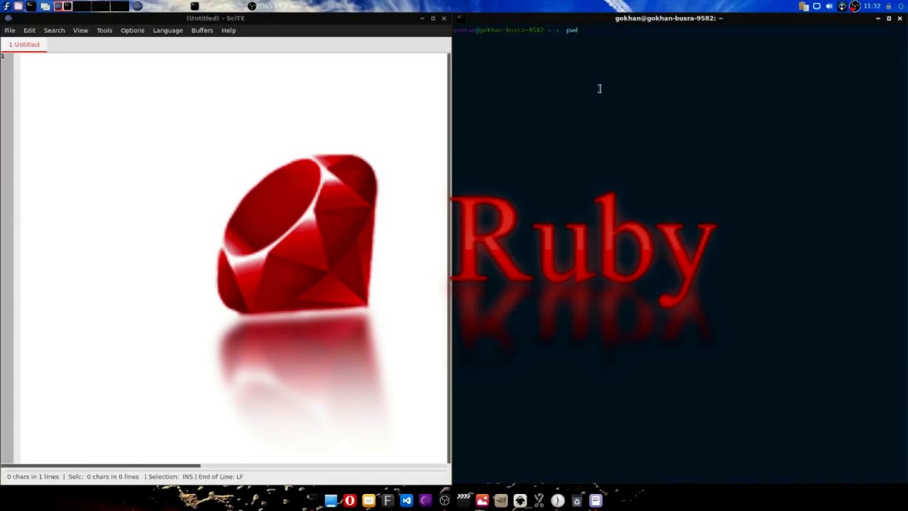 RUBY NEDİR?
