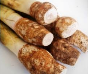 Manfaat Talas Bogor Untuk Kesehatan Yang Jarang Diketahui - Wisata Bogor