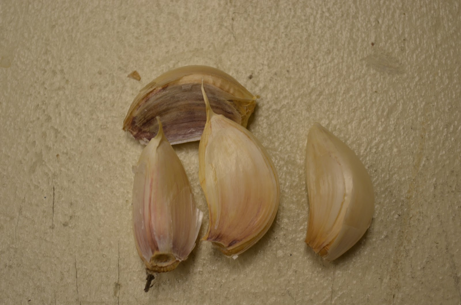 Practical Biology: science for everyone: Planting the Incredible Edible ...