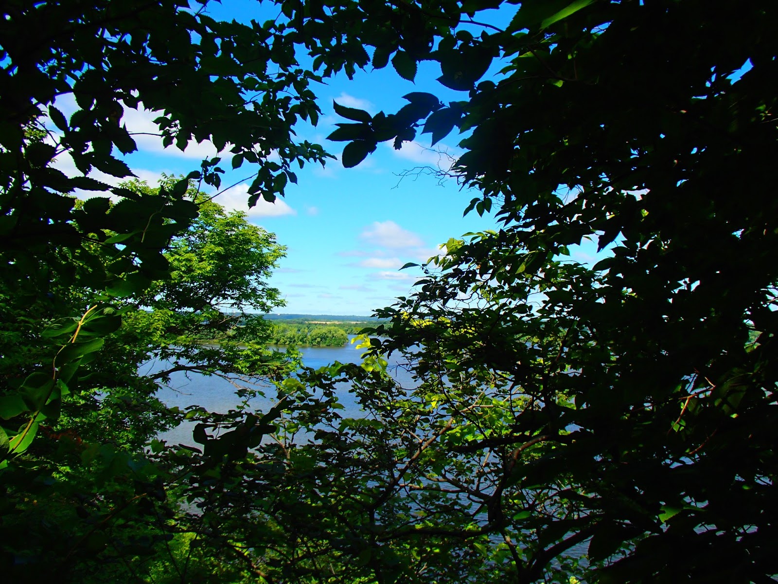 Rollin' With Rubi: Hike #4: Spring Lake Park Reserve