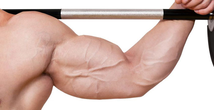 7 SURPRISING TIPS FOR BIGGER ARMS ~ ALL FITNESS