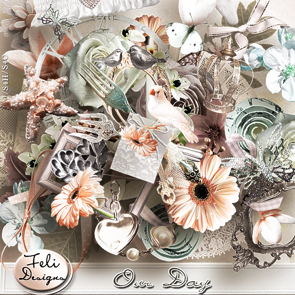 Feli Designs: Our Day - New Kit + Freebie