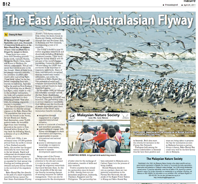 Santubong Nature Festival: The East Asian-Australian Flyway. Source ...