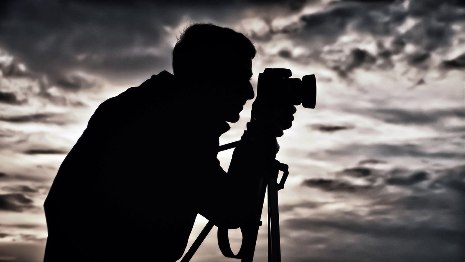 Matthew David Rubin Photography: Matthew David Rubin Photography