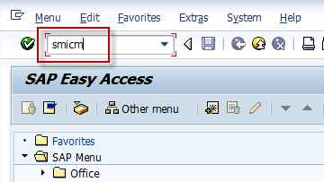 SAP Basis For Beginner: Introduction and how to configure SAP Web GUI