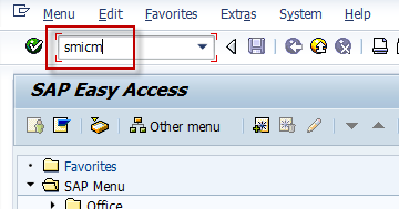 SAP Basis For Beginner: Introduction and how to configure SAP Web GUI