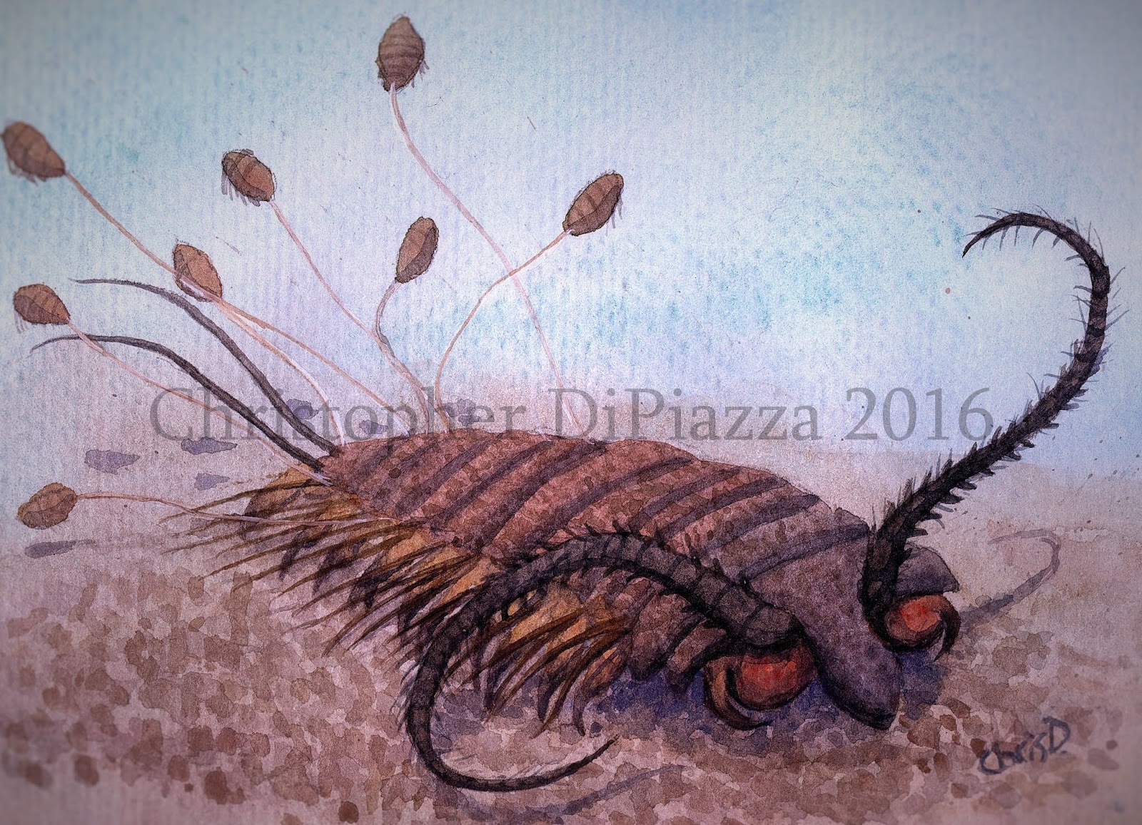 Prehistoric Beast of the Week: Aquilonifer: Beast of the Week