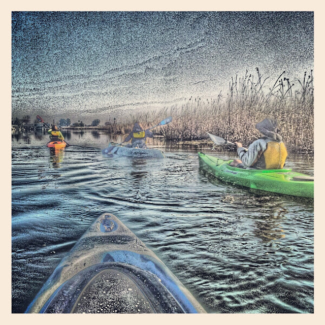 Kayaking the California Delta: Franks Tract