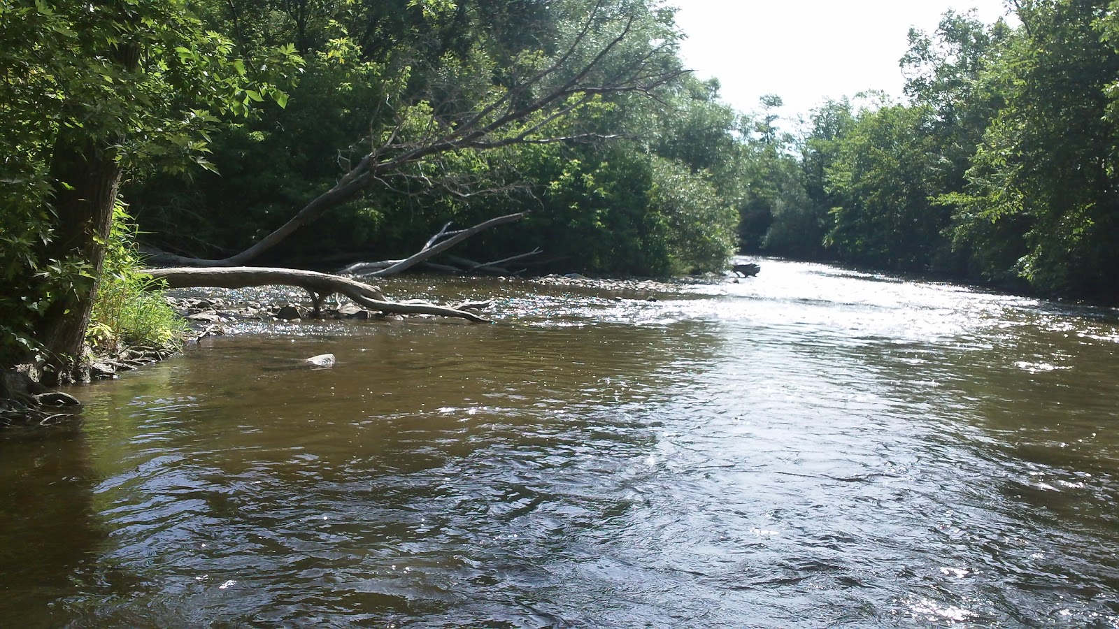 Illinois Wisconsin Fishing: milwaukee river smallmouth bass redemption