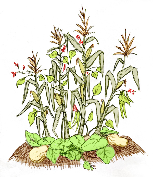 Colonial Quills: Cherokee Cooking