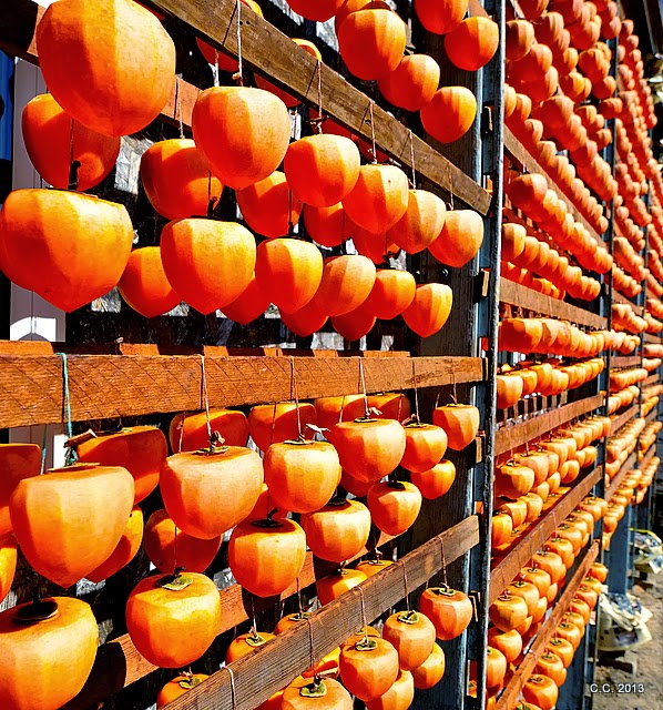 Over Good Ground: Wordless Wednesday: Otow Persimmon Farm, Sacramento, CA.