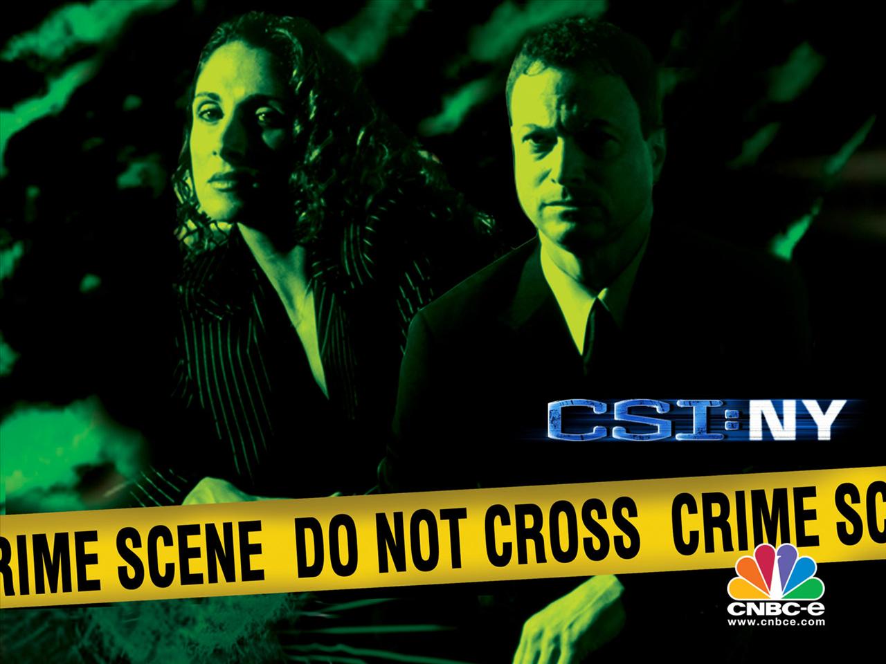 CSI NY Poster Gallery | Tv Series Posters and Cast