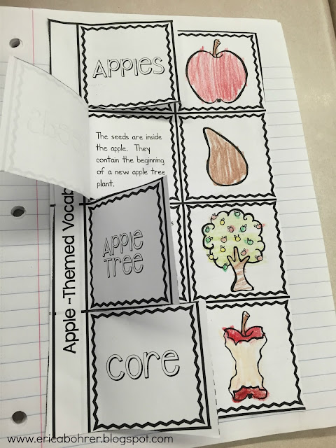 Apples Theme in First Grade