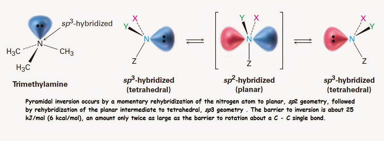 chemistry world: amines