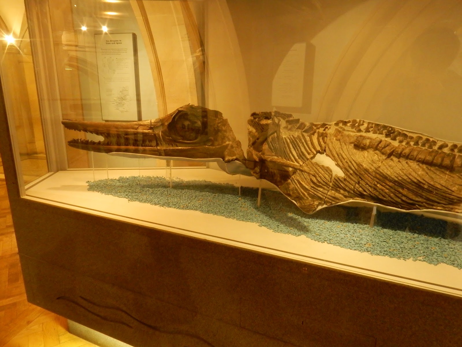 Raptormaniacs: Bristol Museum