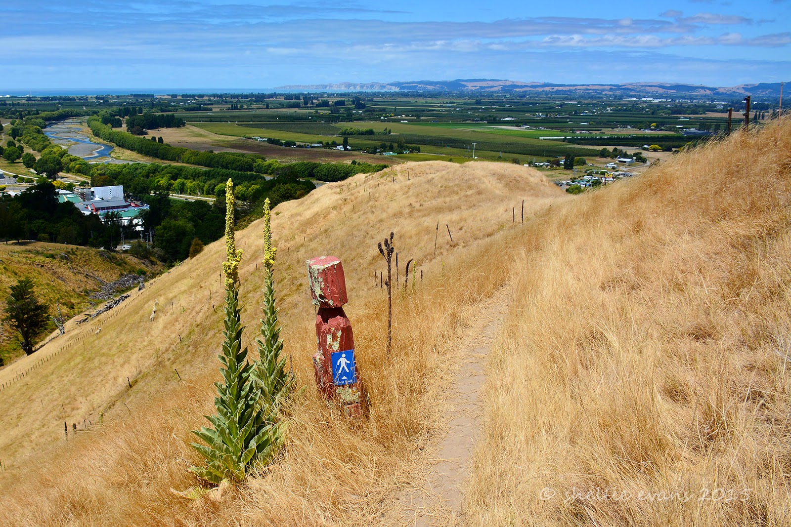 Two Go Tiki Touring: Otatara Pa, Taradale