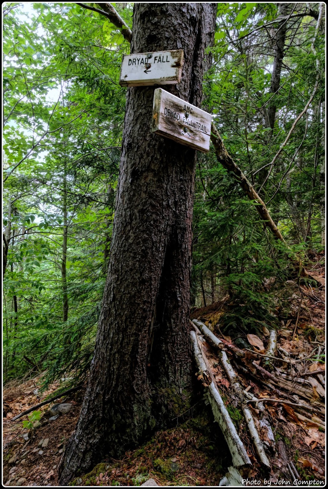 1HappyHiker: Dryad Fall from Bottom to Top