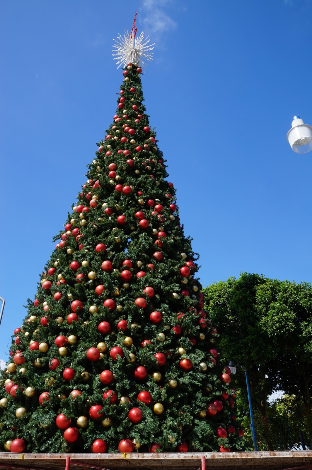 Iridule Imagined: Flores & Tikal: Jungle Pyramids