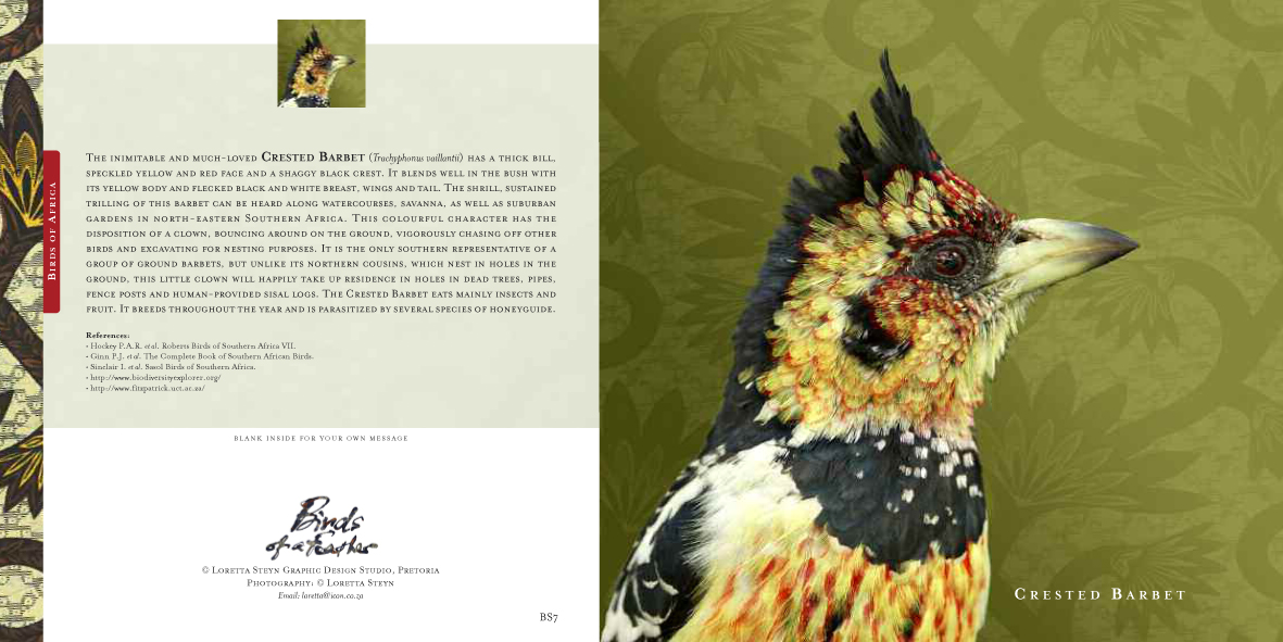 Loretta Steyn Graphic Design Studio: Birds of a Feather – Greeting card ...