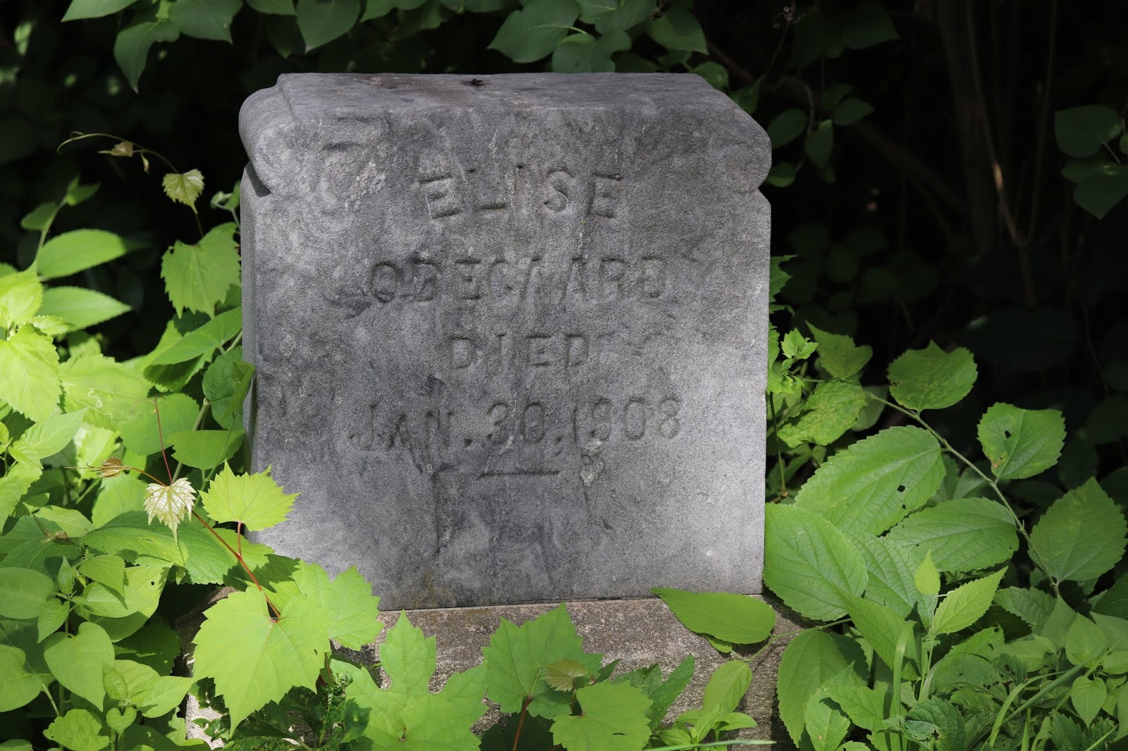The Minneapolis Pioneers & Soldiers Memorial Cemetery - Minneapolis, MN ...