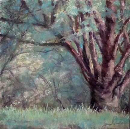 Joann Quinlivan Art: Tree Shadows
