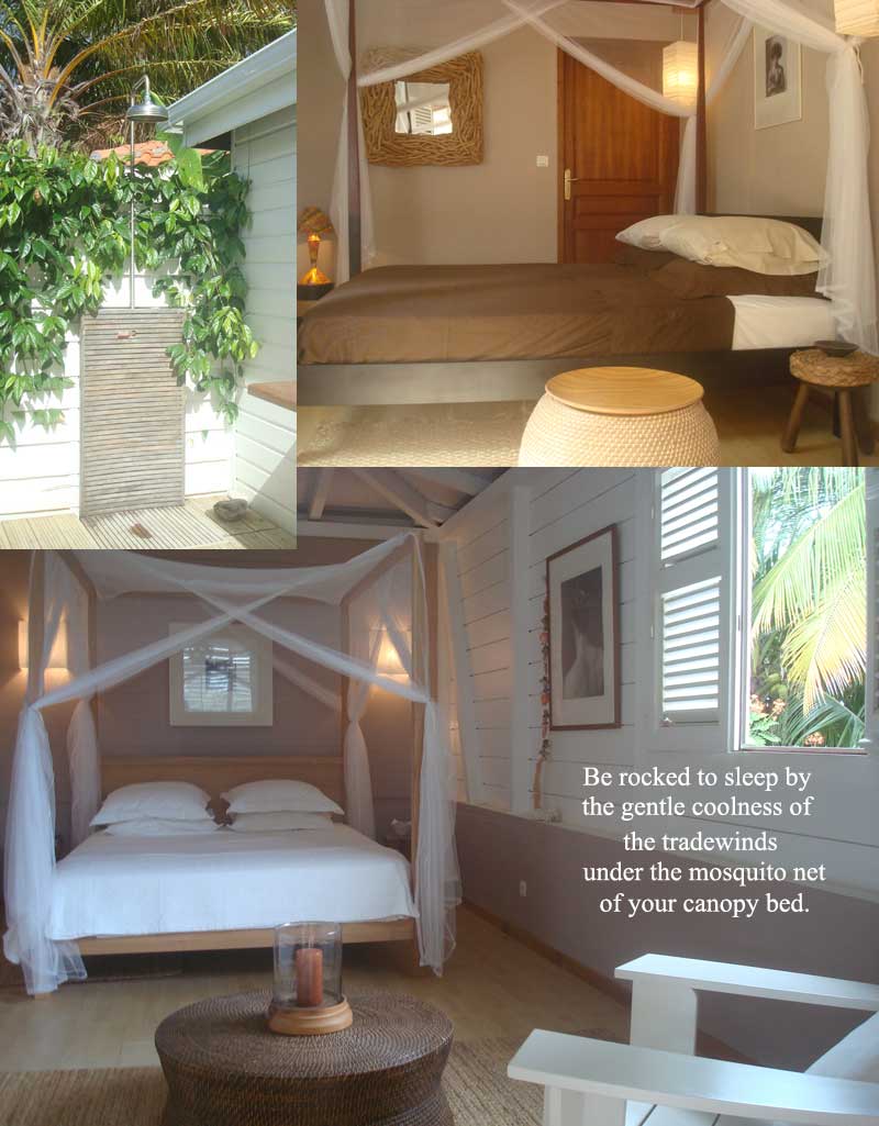 Welcome to Cap House