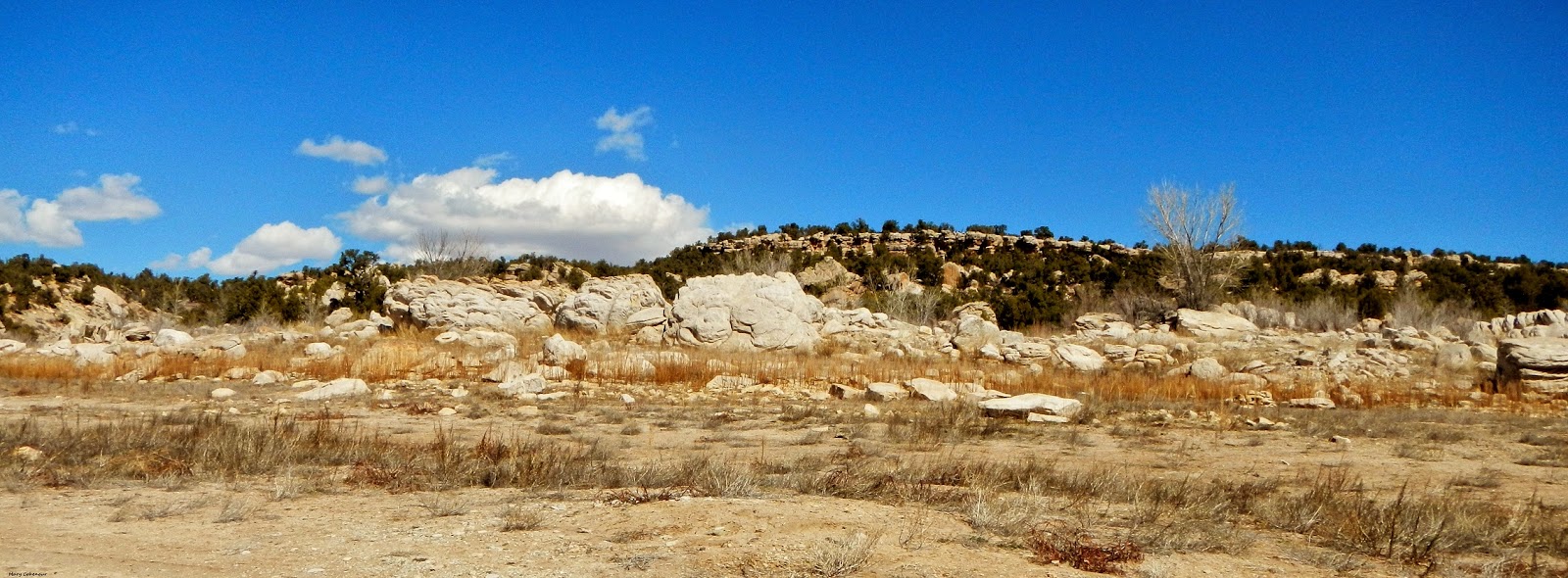The Southwest Through Wide Brown Eyes: Recapture Reservoir and North.