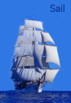 Sea Animals Names with Pictures | Necessary Vocabulary - Necessary ...