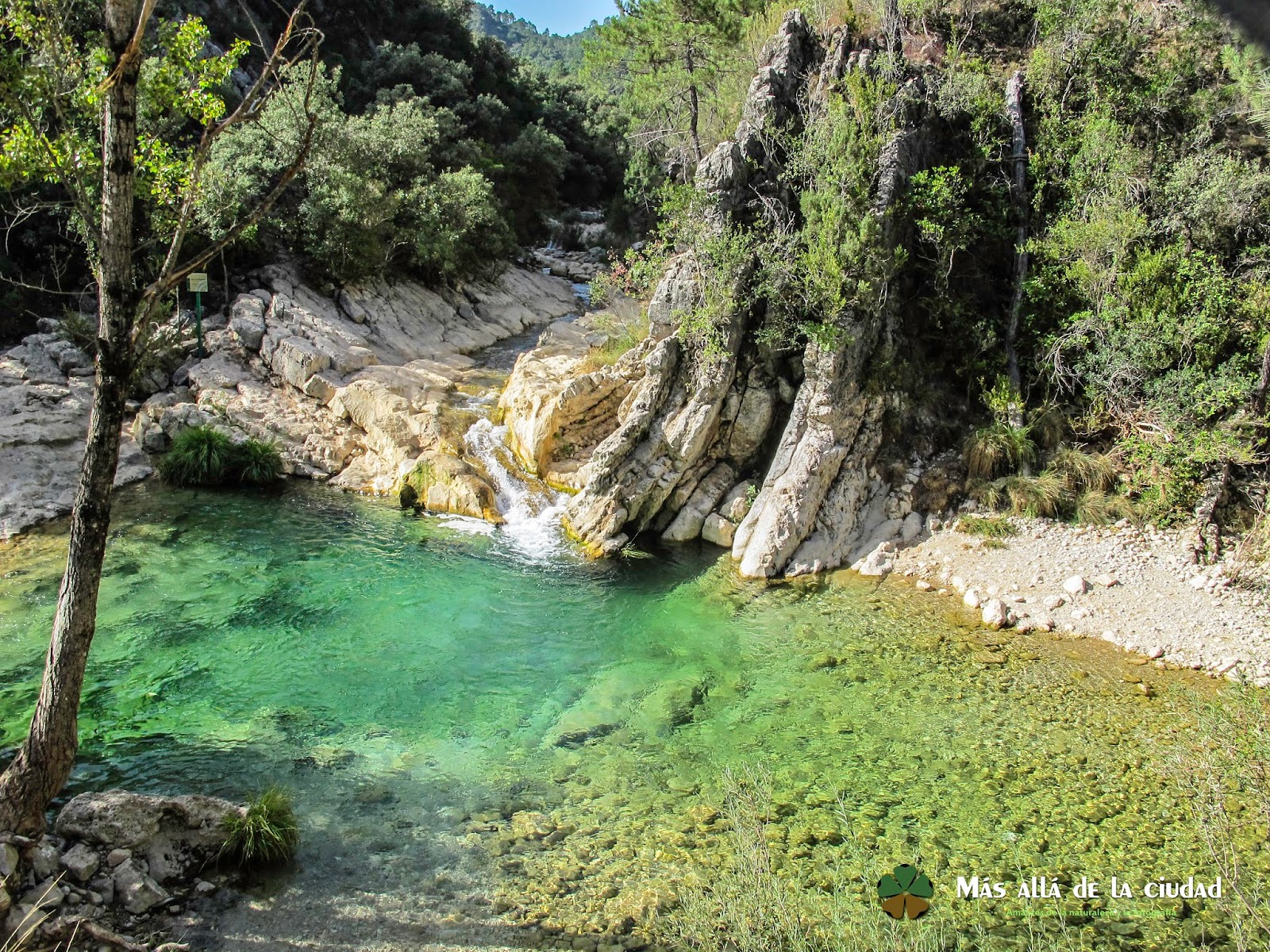 Ruta Río Borosa (Cazorla) | Más allá de la ciudad
