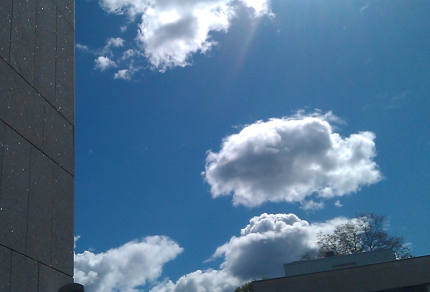 Axul-axula y de cuando en ves, un flor...