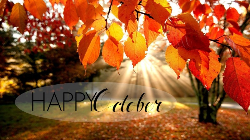 The Low Carb Diabetic: It's October, the tenth month of the year